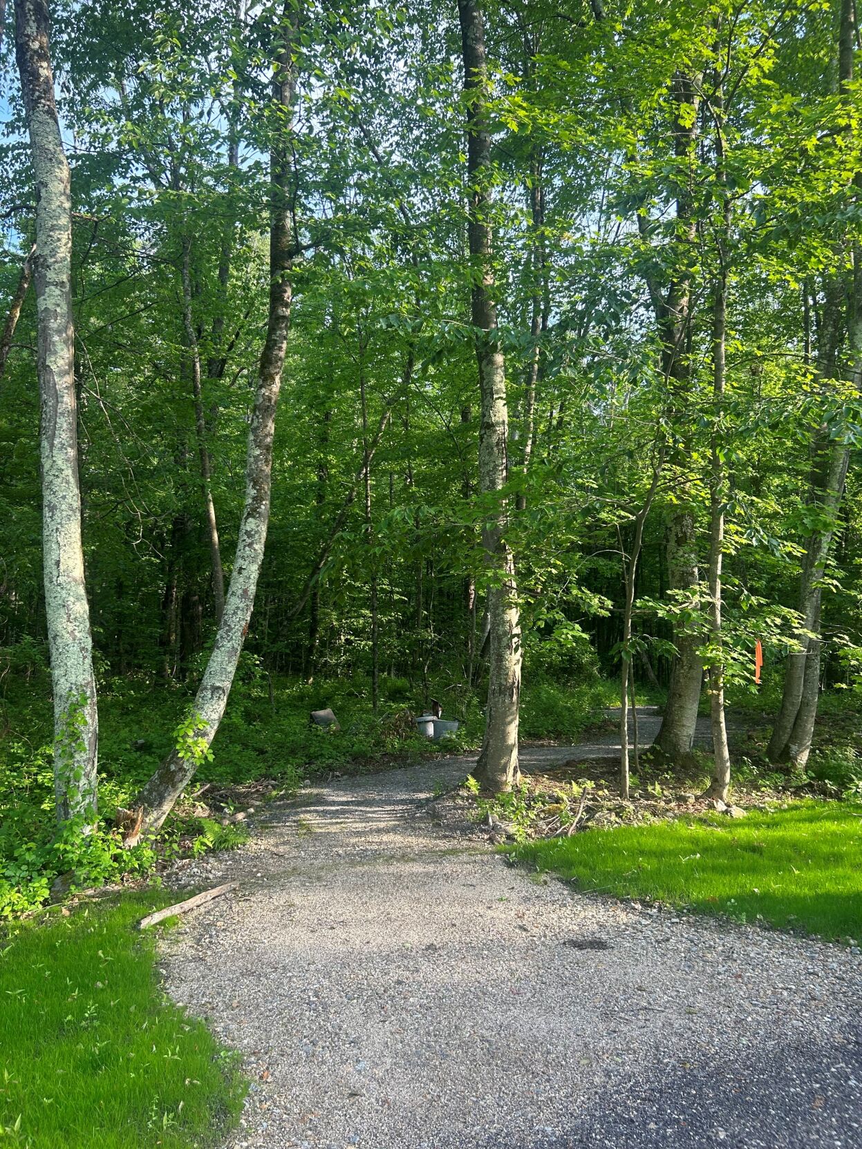 Marston-Dunlap Conservation Area to open June 8 | Environment | unionleader.com