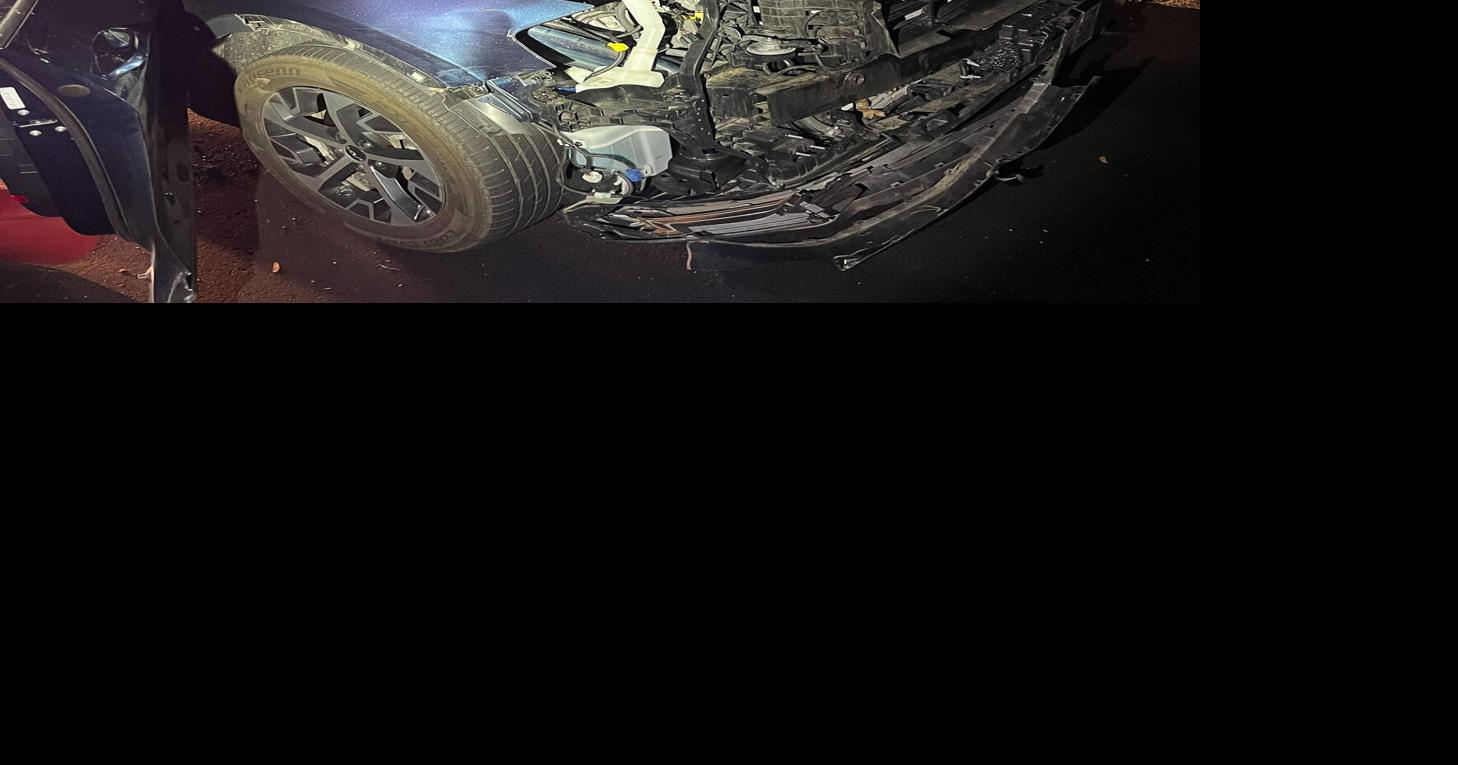 One person injured as moose is hit twice on Route 101 | Public Safety ...