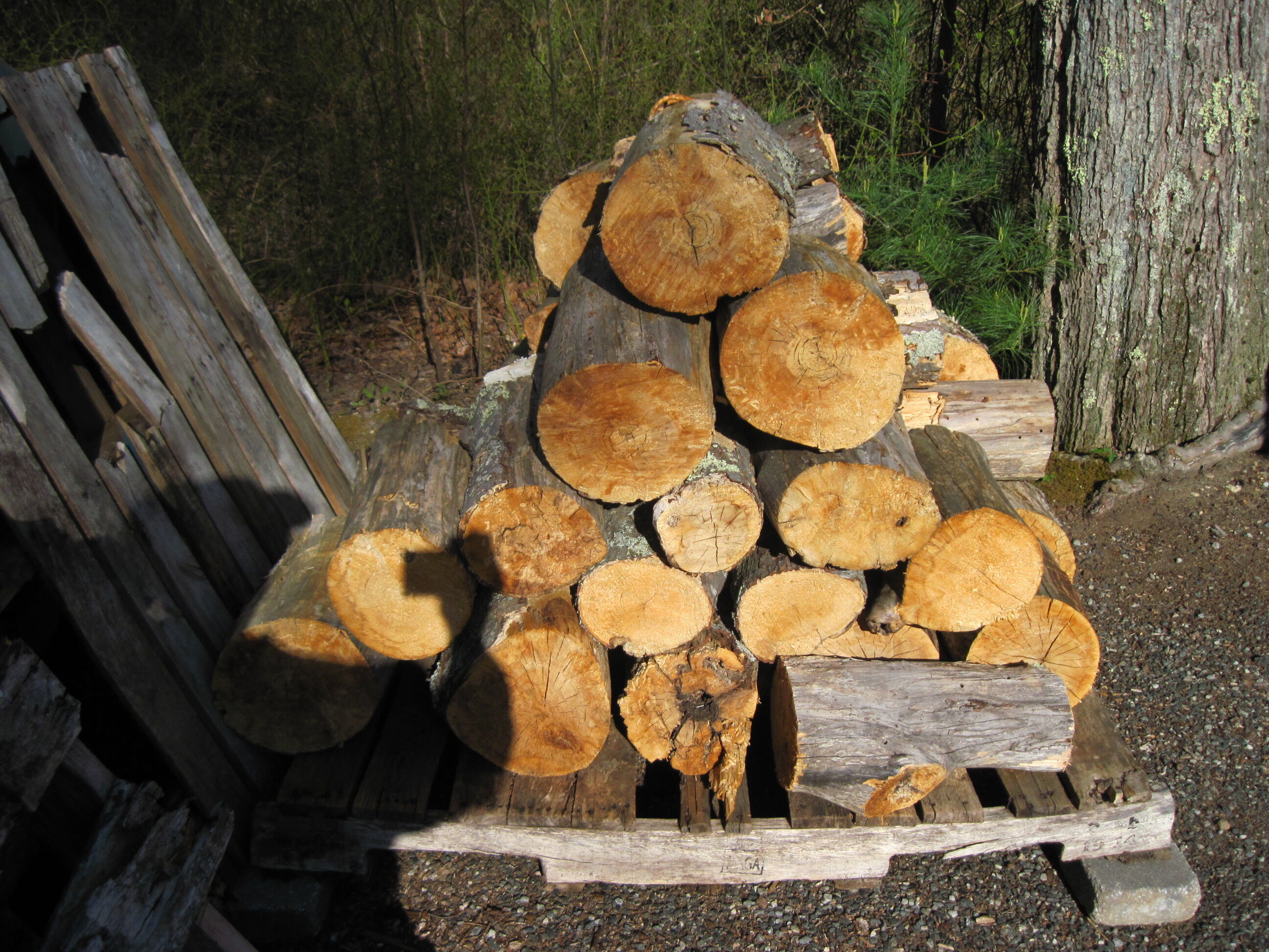 fire wood | Free Under 50 | valleybreeze.com