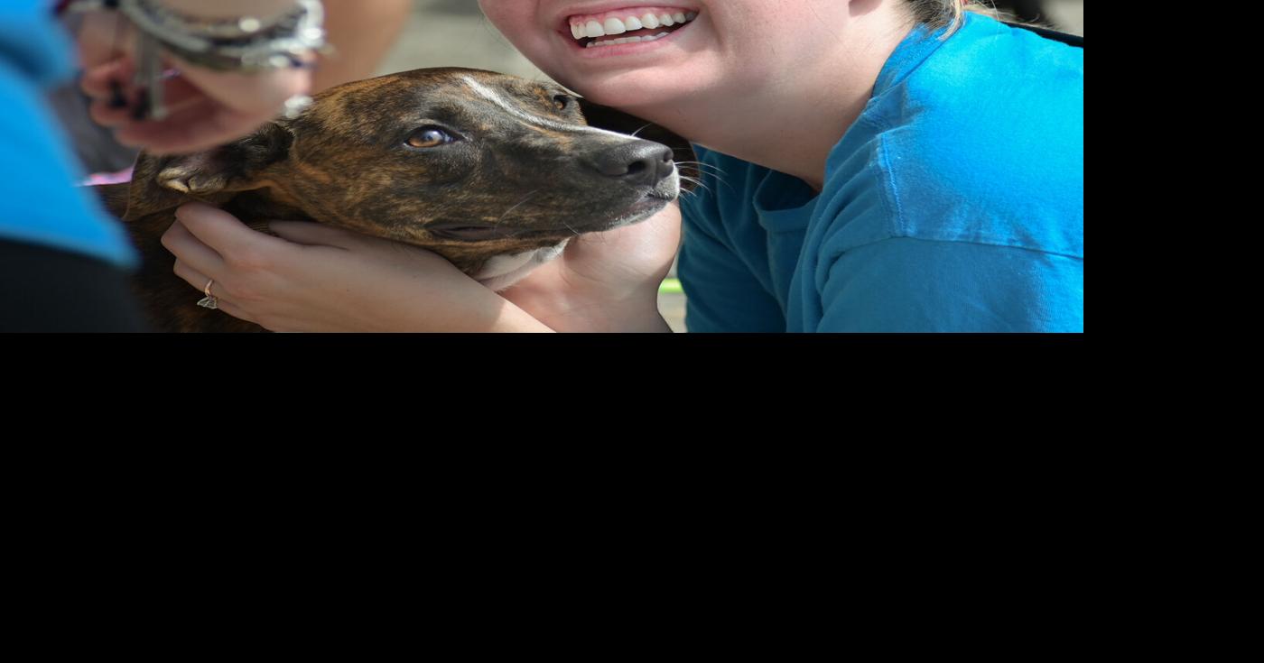 NP Dog Adoption event | North Providence | valleybreeze.com