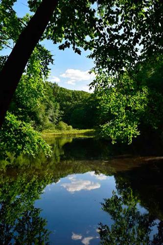 Hike through Connors Farm Conservation Area with WRWC | Lifestyle ...