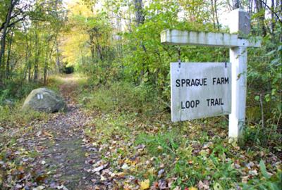 Fall Foliage Hike at Sprague Farm in Glocester | The Observer ...