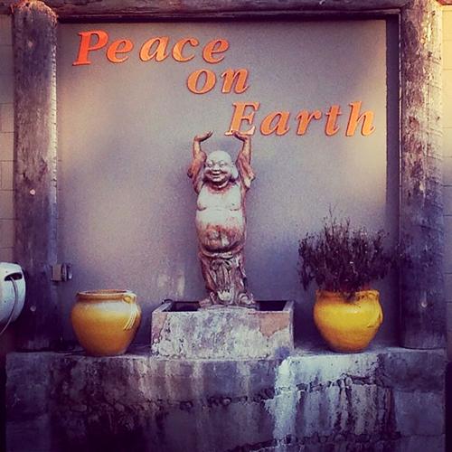 Whisper zones, fascia pressure, and wild stretches for your spring self ...