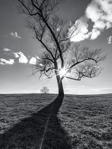 Photography by Dono featured in BRT exhibit | Entertainment ...