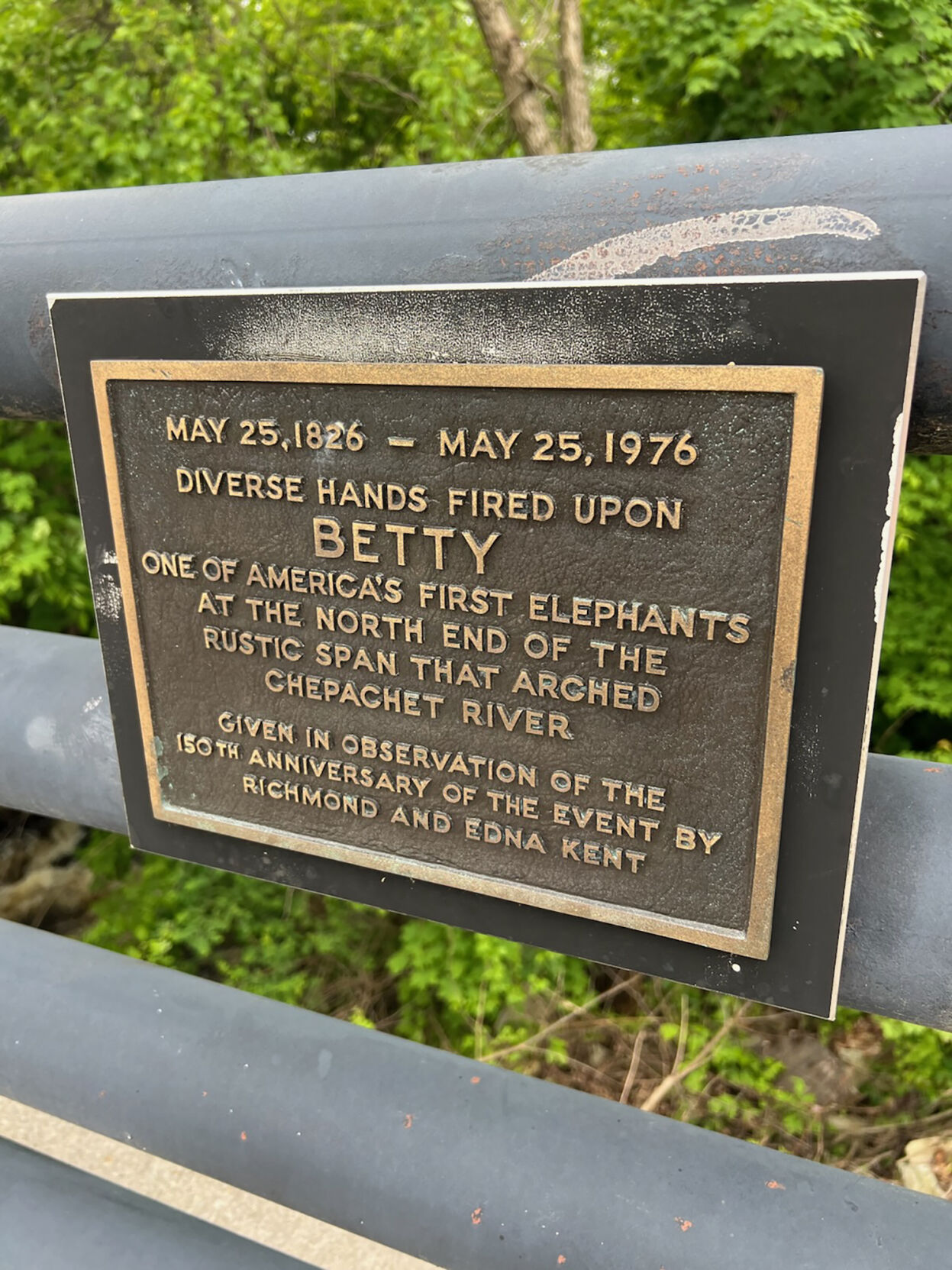 Conspiracy, curiosity, and remembering Betty the Elephant almost 200 ...