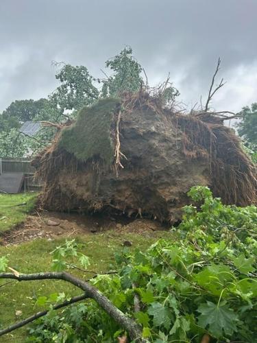 Tornado confirmed in northern Rhode Island | News | valleybreeze.com