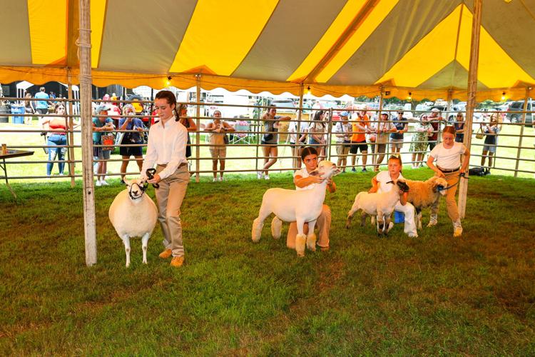 Foster celebrates Old Home Days at the fairgrounds | Multimedia ...