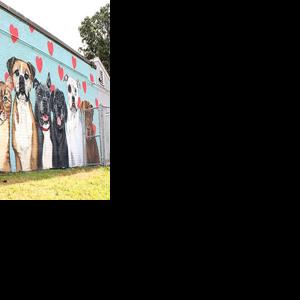 N.E. Humane Society unveils new mural | News | valleybreeze.com