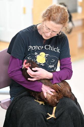 Project Chick stops by the Greenville Library in Smithfield ...