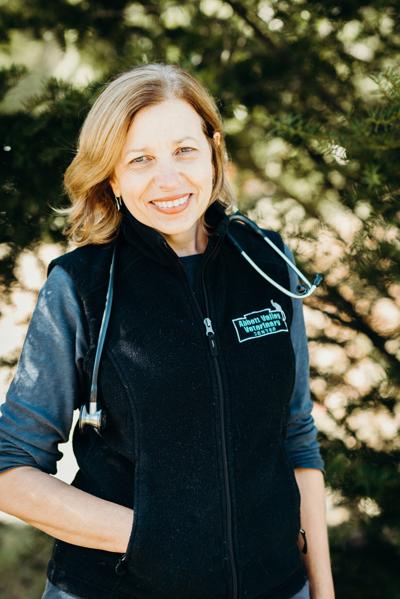 New Veterinary Association leader Gifford targeting staffing shortages ...