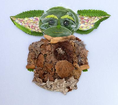 Foraged art creator Rebecca Reddy's works on display at Cumberland ...