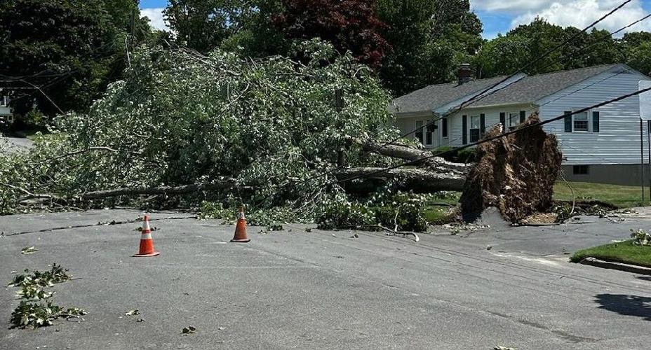 Tornado confirmed in northern Rhode Island | News | valleybreeze.com