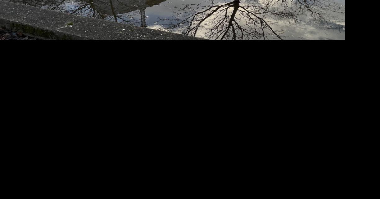 Flooding events leave some NP residents at wit's end | News ...