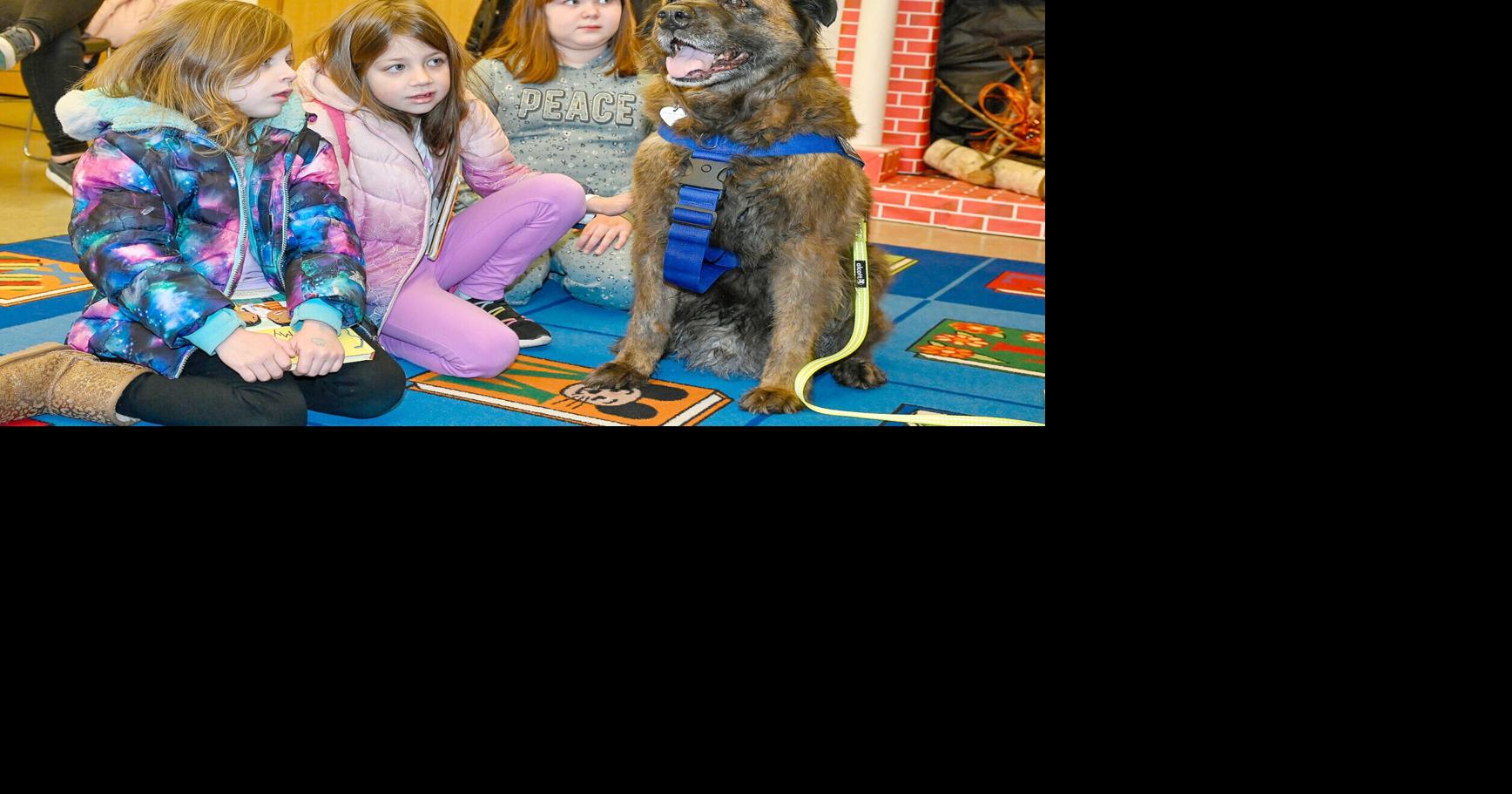 Teddy the Therapy Dog visits the North Scituate Library ...