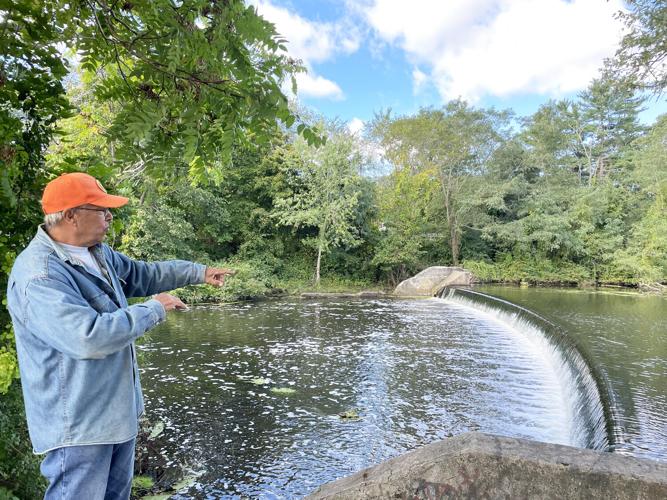 Study will decide if dam stays or goes | News | valleybreeze.com