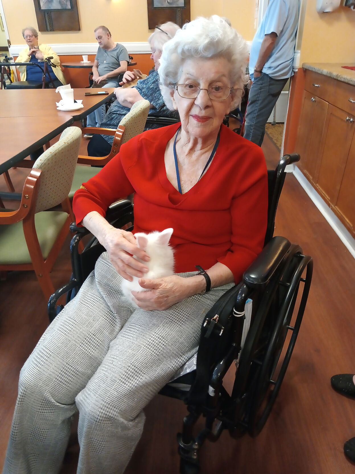 Pet prescription | Lifestyle | valleybreeze.com