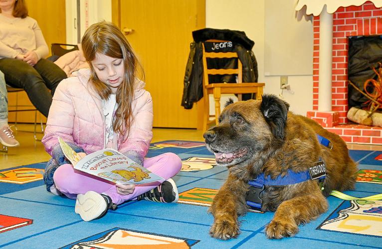 Teddy the Therapy Dog visits the North Scituate Library ...
