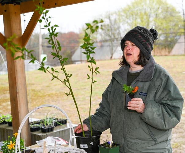 26th Annual Plant Swap and Sale held at the East Smithfield Library ...