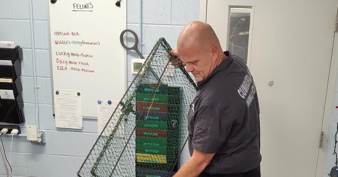 New chicken trap makes life easier for animal control officers ...