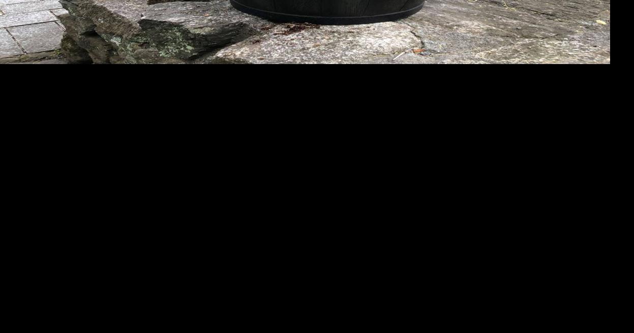 Blackstone Valley Angel of Hope to hold 15th candlelight vigil | News ...