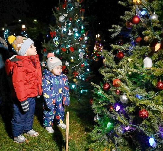 The Lighting of the Memorial Christmas Trees at the Monastery ...