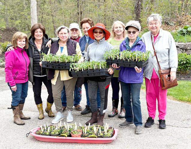 Blackstone Valley Garden Club preps for 21st Annual Plant Sale May 17 ...