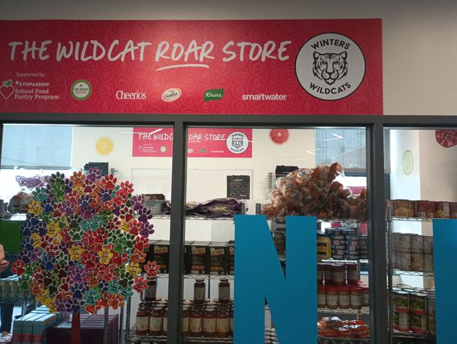'Wild Cat Roar Store' food pantry at Winters a 'game changer' | News ...