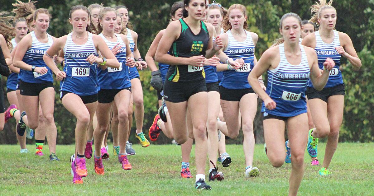CHS girls' cross country team wins ninth straight Northern Division ...