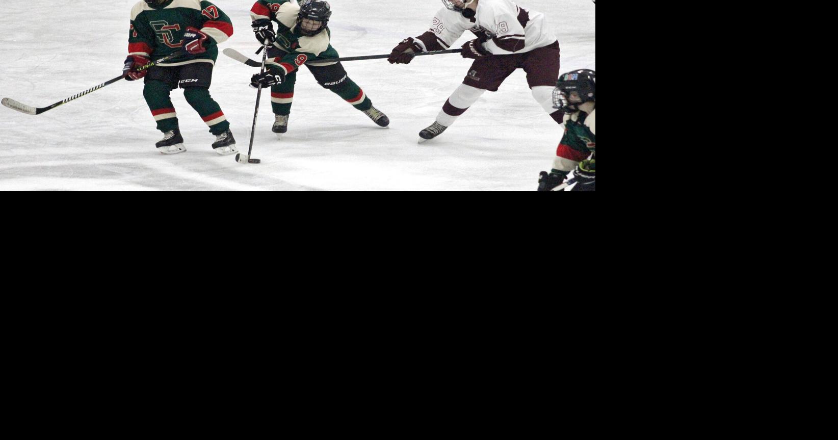 Smithfield-based co-op girls' hockey team tops La Salle again, improves ...