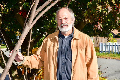 Mark of Jesus seen on tree: 'Quirk of fate' - or faith? | News ...