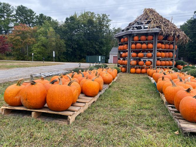 Goodwin Bros. Farm Stand pumpkin houses become Halloween tradition ...