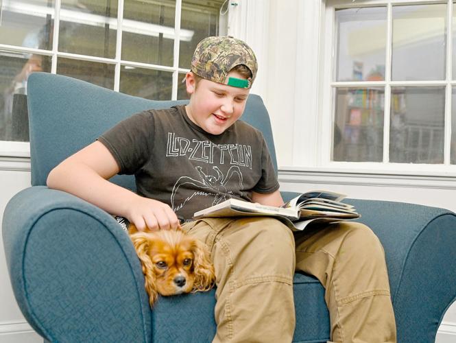 Gillette, the therapy dog, visits the Greenville Public Library ...