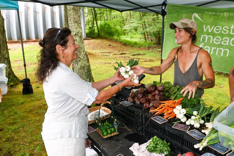 New and improved Foster Farmers Market flourishes | Food | valleybreeze.com