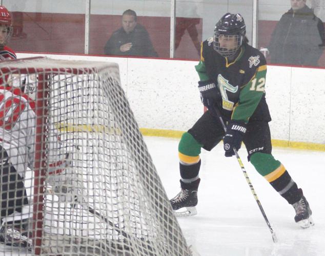 Northmen hockey team skates out to 3-0 start in co-op with NP, Johnston ...