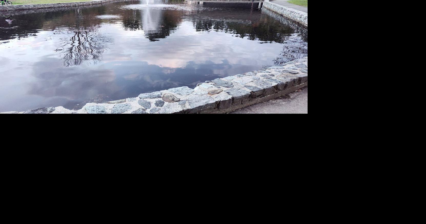 Get away from it all at Cumberland's new and improved pond spot | News ...