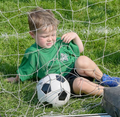 Robert Emerson's Best of 2022 Photos | | valleybreeze.com