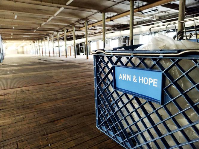 Costs at Ann & Hope escalate, but project still on target | News ...