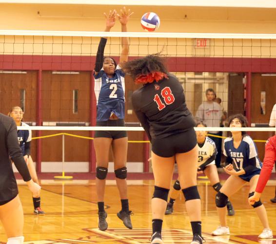 Shea falls in four sets to defending champion PCD in Division IV girls ...