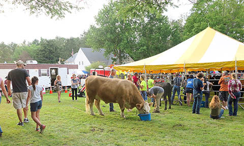 Throwback family fun at Foster Old Home Days | Living | valleybreeze.com