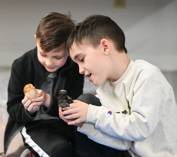 Project Chick stops by the Greenville Library in Smithfield ...