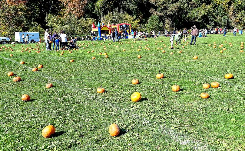 Ninth Annual Pumpkin Patch at Rivers Edge Complex | | valleybreeze.com