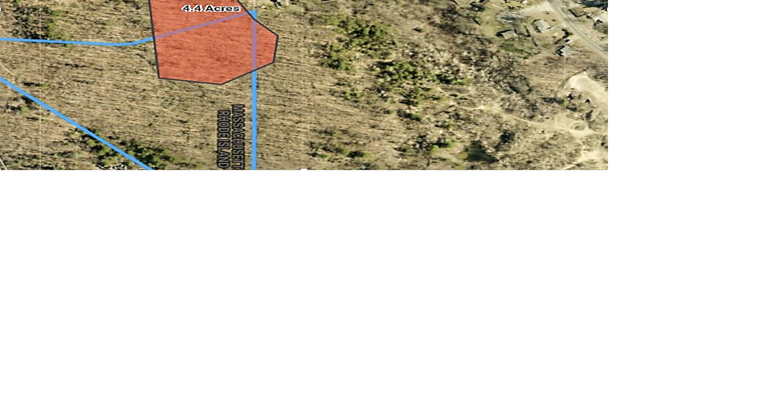 Cumberland officials say there are violations with Gold Rush tree ...