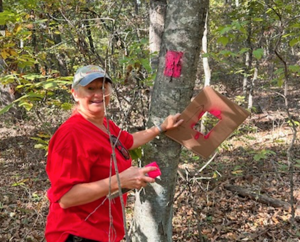Doiron refreshes Monastery Trail markers | News | valleybreeze.com