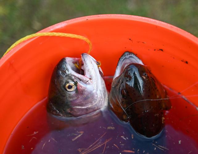 Woonsocket Elks and Parks & Recreation Department 2024 Fishing Derby ...