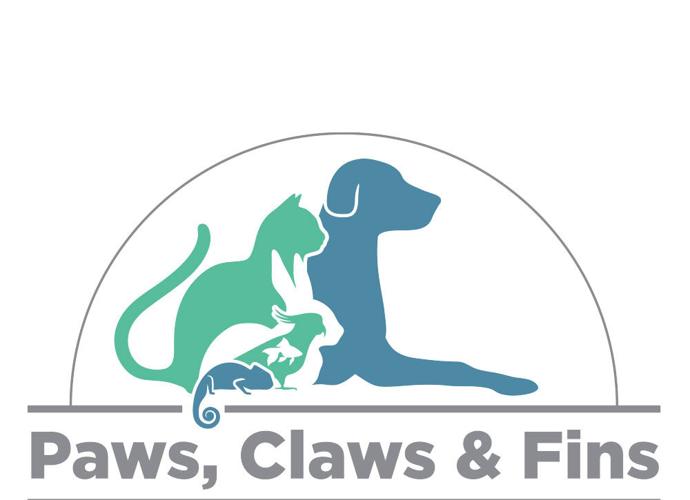 New one-stop pet center planned in Pawtucket | Pawtucket | valleybreeze.com