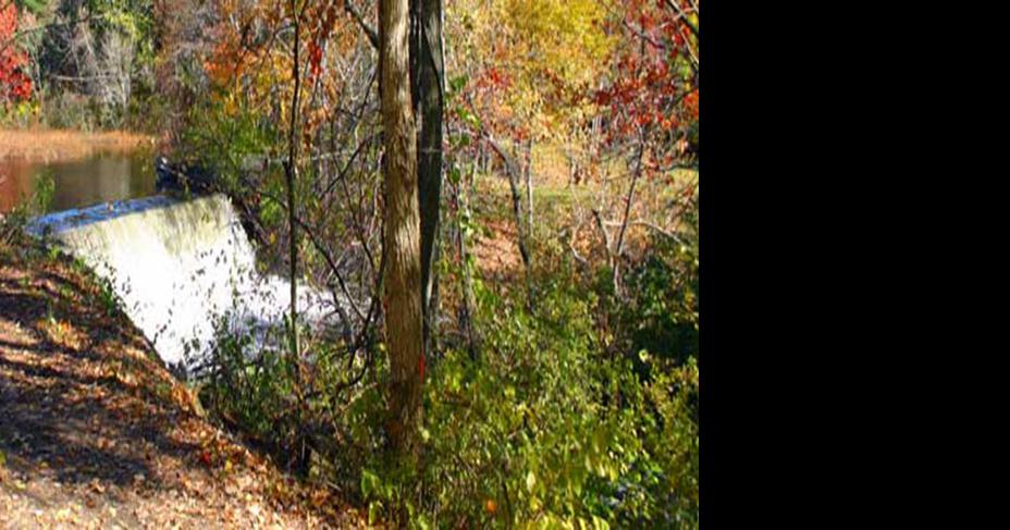 Hike Stillwater Scenic Trail Feb. 5 | The Observer | valleybreeze.com