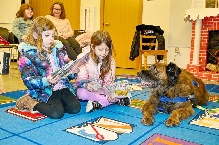 Teddy the Therapy Dog visits the North Scituate Library ...
