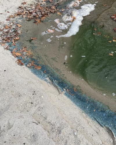 Scott Pond under advisory for Cyanobacteria | News | valleybreeze.com