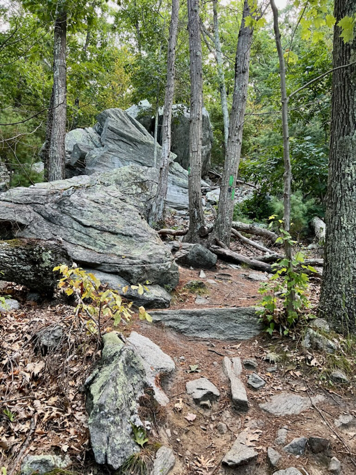 Northern Rhode Island Try-Athlon | Lifestyle | valleybreeze.com