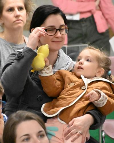 Project Chick pecks in to Greenville Library | Multimedia ...
